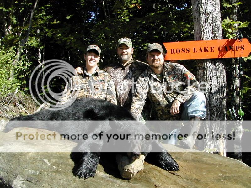 Maine Black Bear Hunting | Page 4 | Archery Talk Forum