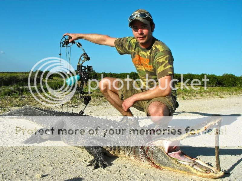 Gator with a bow? | Archery Talk Forum