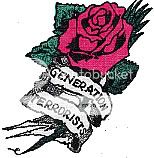 "It's okay, I'm not really a nun"