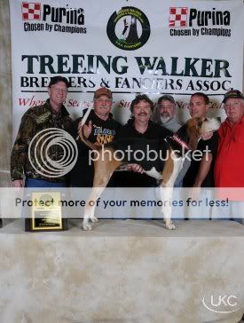 UKC Forums - At Stud: Pkc Gold Ch - Grntch All Grand Trackman