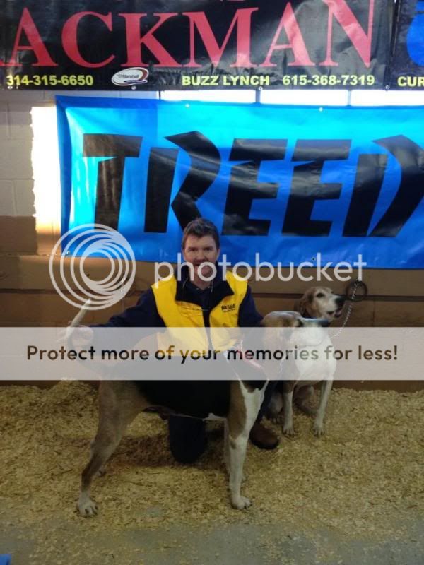 UKC Forums - At Stud: Pkc Gold Ch - Grntch All Grand Trackman