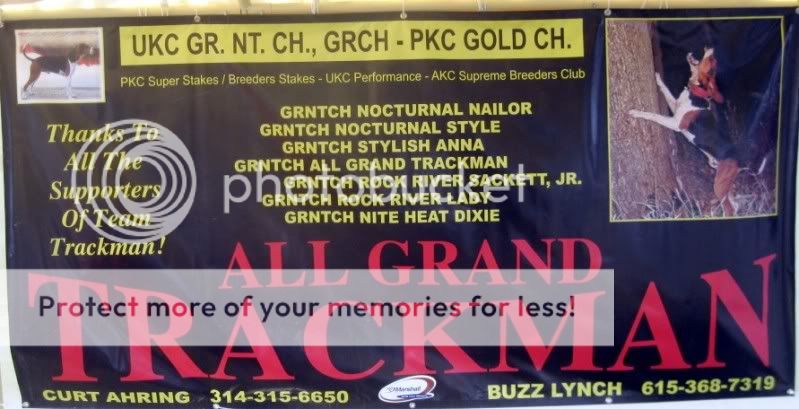 UKC Forums - At Stud: Pkc Gold Ch - Grntch All Grand Trackman