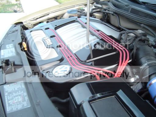 Show me your custom painted 12v VR6 Engine Covers | VW Vortex ...