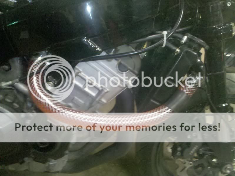 i want clear radiator hose | Custom Fighters - Custom Streetfighter ...